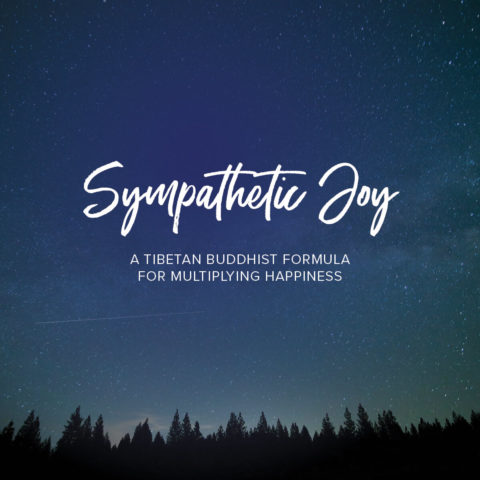 Sympathetic Joy: A Tibetan Buddhist Formula for Multiplying Happiness