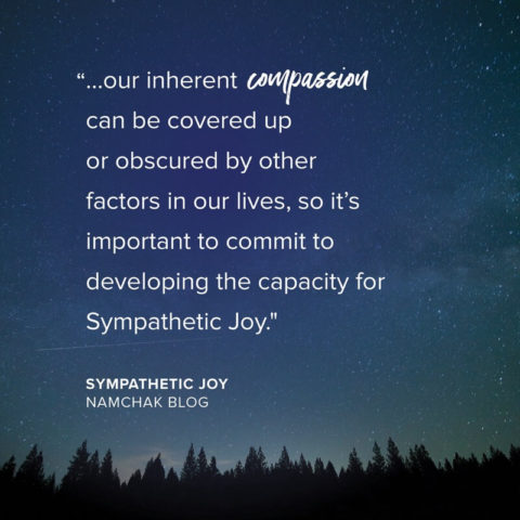 Sympathetic Joy: A Tibetan Buddhist Formula for Multiplying Happiness