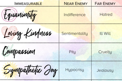 Understanding the Four Immeasurables and Their Near and Far Enemies ...