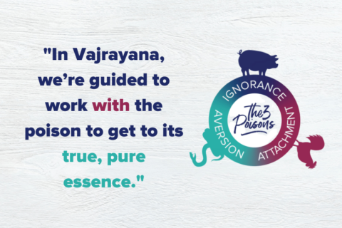 How to Work with the Three Poisons of Buddhism - Namchak Community