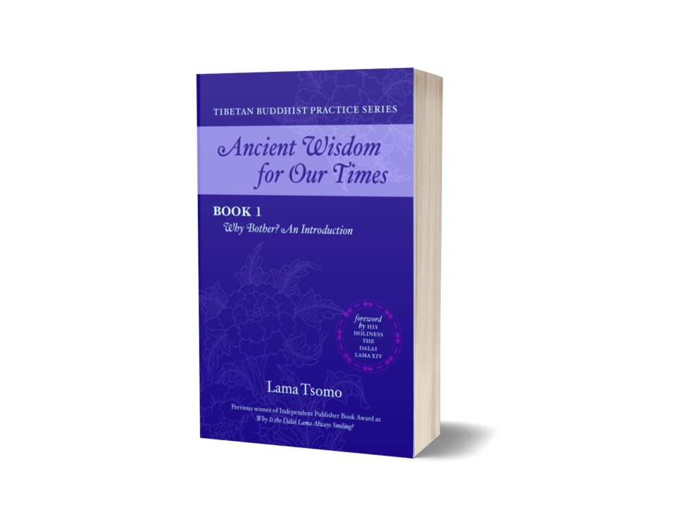 What are the Six Perfections or Six Paramitas? - The Namchak Community